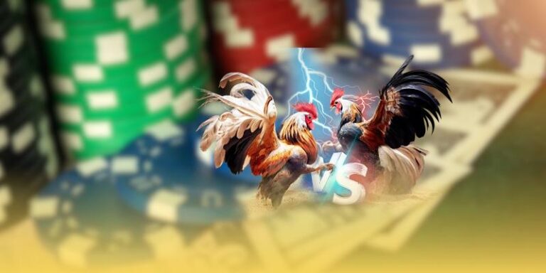 What is Scrim Fabric? A Complete Guide to Its Features and Uses ...